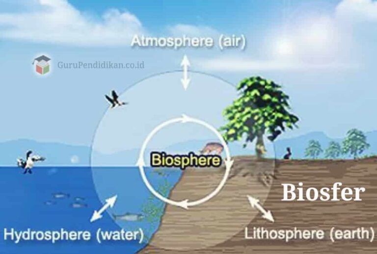Pengertian Biosfer, Macam, Faktor, Unsur dan Tingkatan - AAcial - AAcial